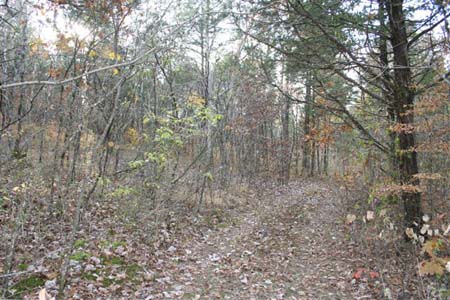 Untitled Document [www.keithstrain.com]